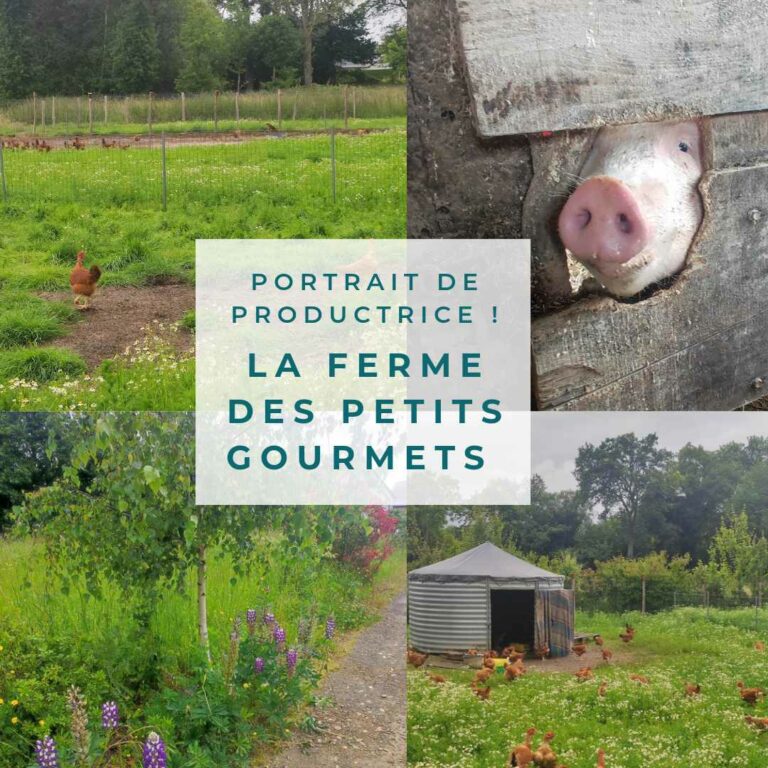 La Ferme des Petits Gourmets : le bien-être animal d’abord ! – Le clic ...